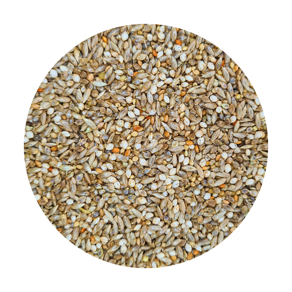 PREMIUM Canary Seed Mix with TummyRite™ Plus – Applied Nutrition ...